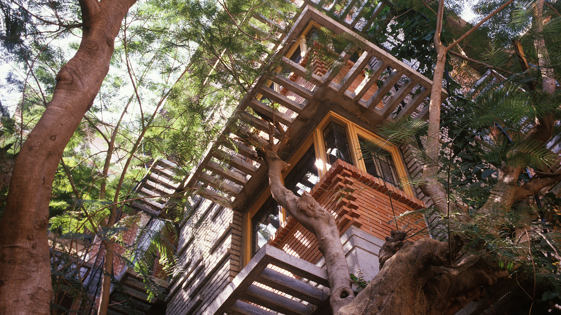 About Us | Total Environment